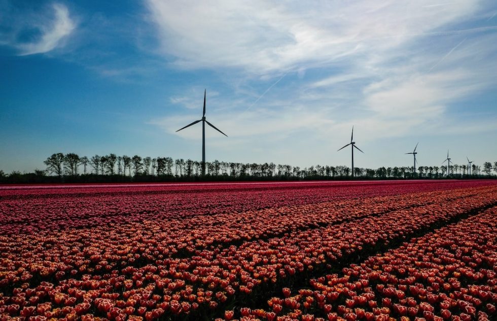 Exploring the Top Places to Visit in the Netherlands - Cheapest ...