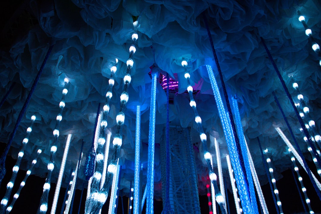 Things to do at Night in Auckland - Cheapest Vacations | Cool Places To ...